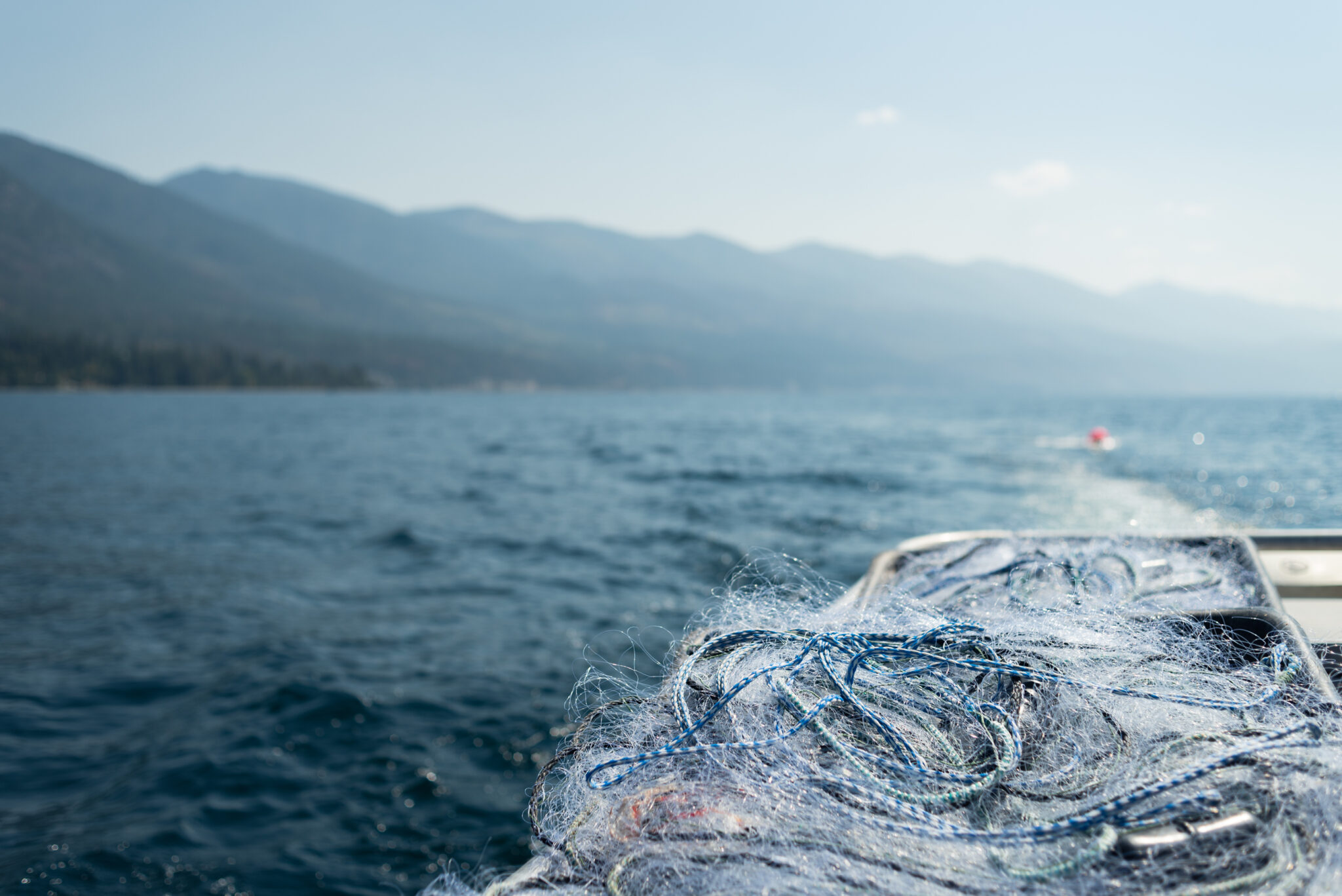 Fisheries Program | Confederated Salish & Kootenai Tribes