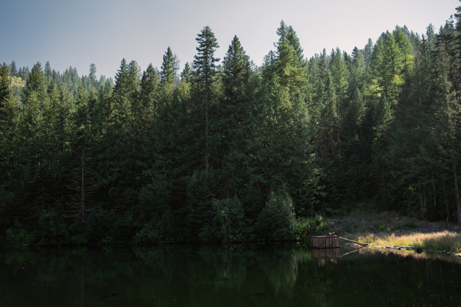 Forestry | Confederated Salish & Kootenai Tribes