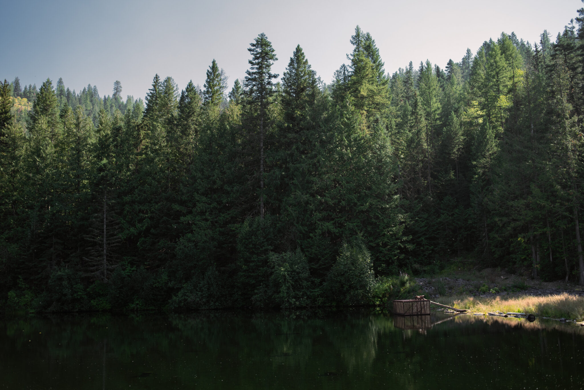 Forestry | Confederated Salish & Kootenai Tribes