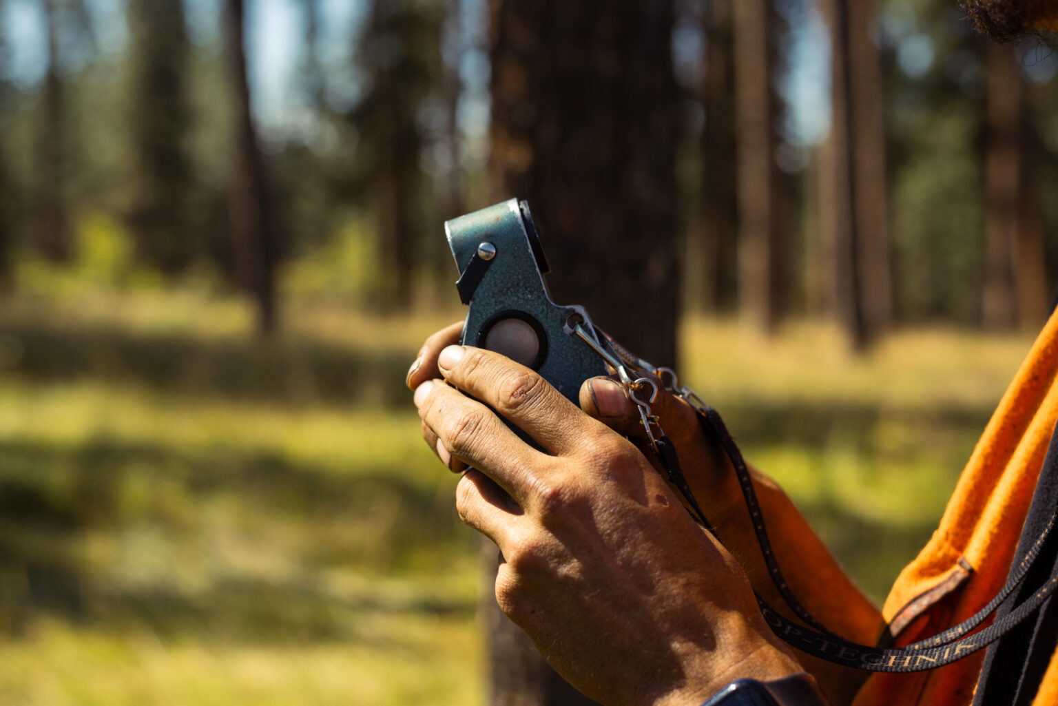 Forestry | Confederated Salish & Kootenai Tribes