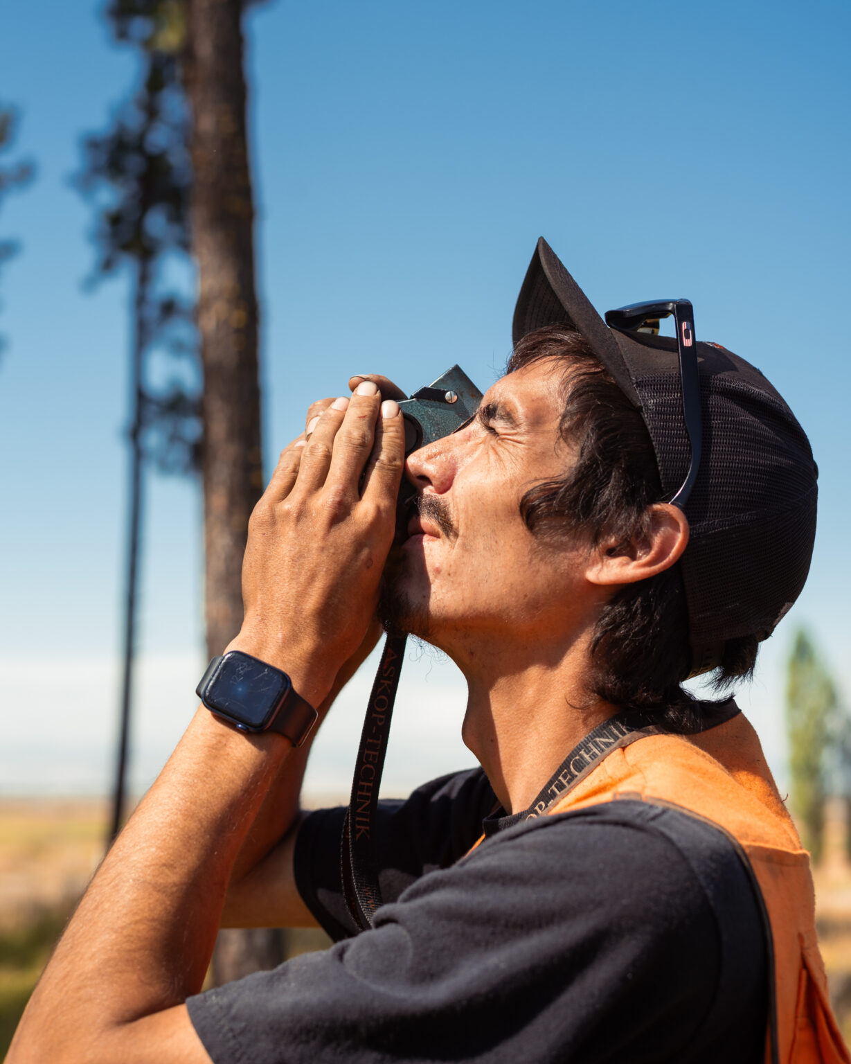 Timber Sales | Confederated Salish Kootenai Tribes