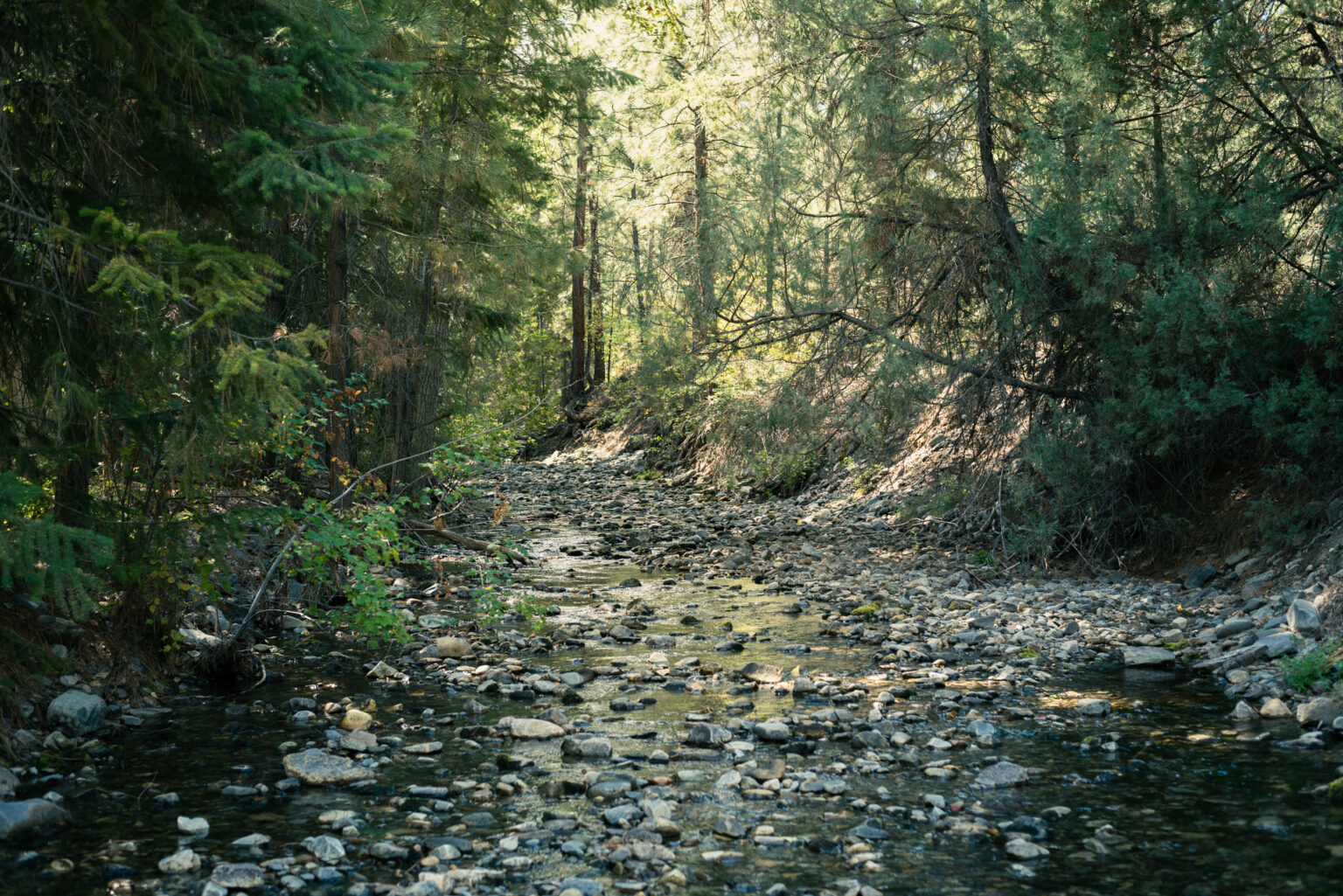 Probation & Parole | Confederated Salish & Kootenai Tribes