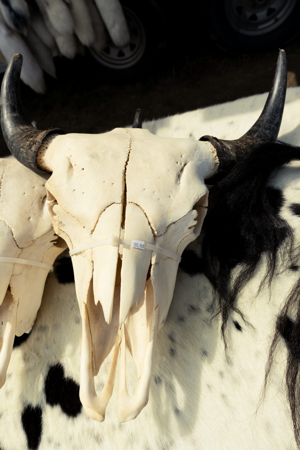 Preservation | Confederated Salish & Kootenai Tribes