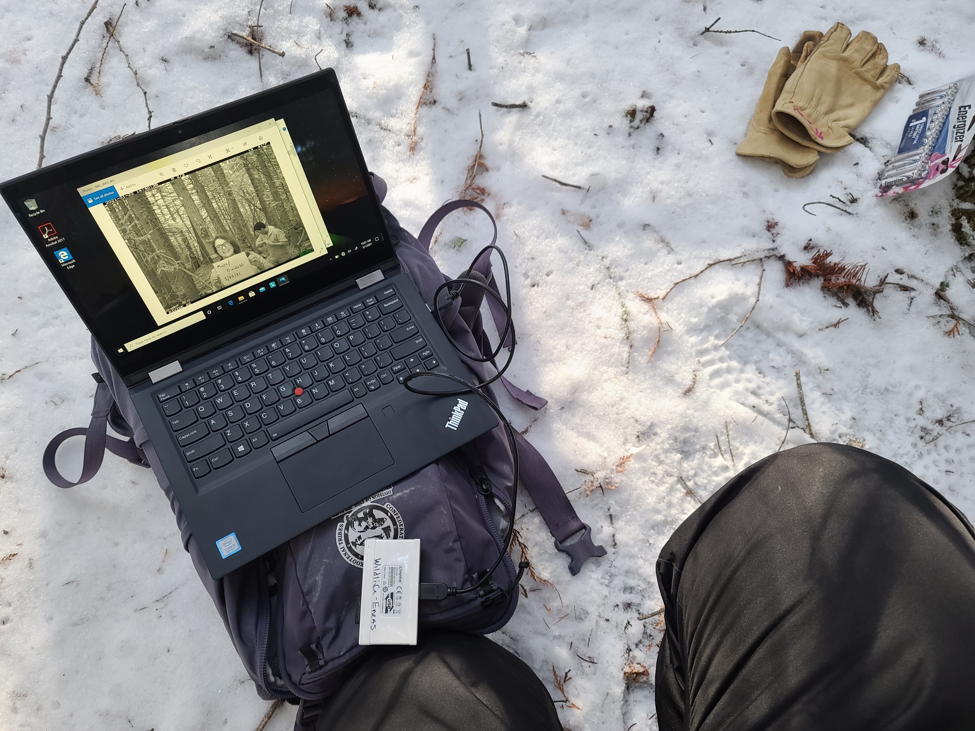 Wildlife Management Program | Confederated Salish Kootenai