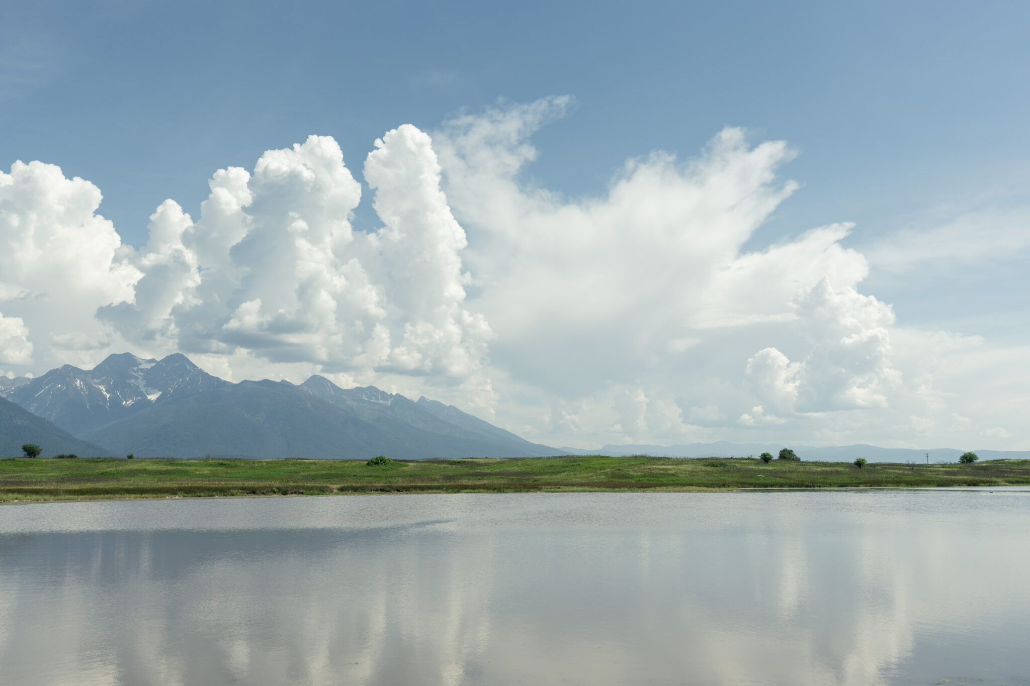 Division of Water and Engineering Resource