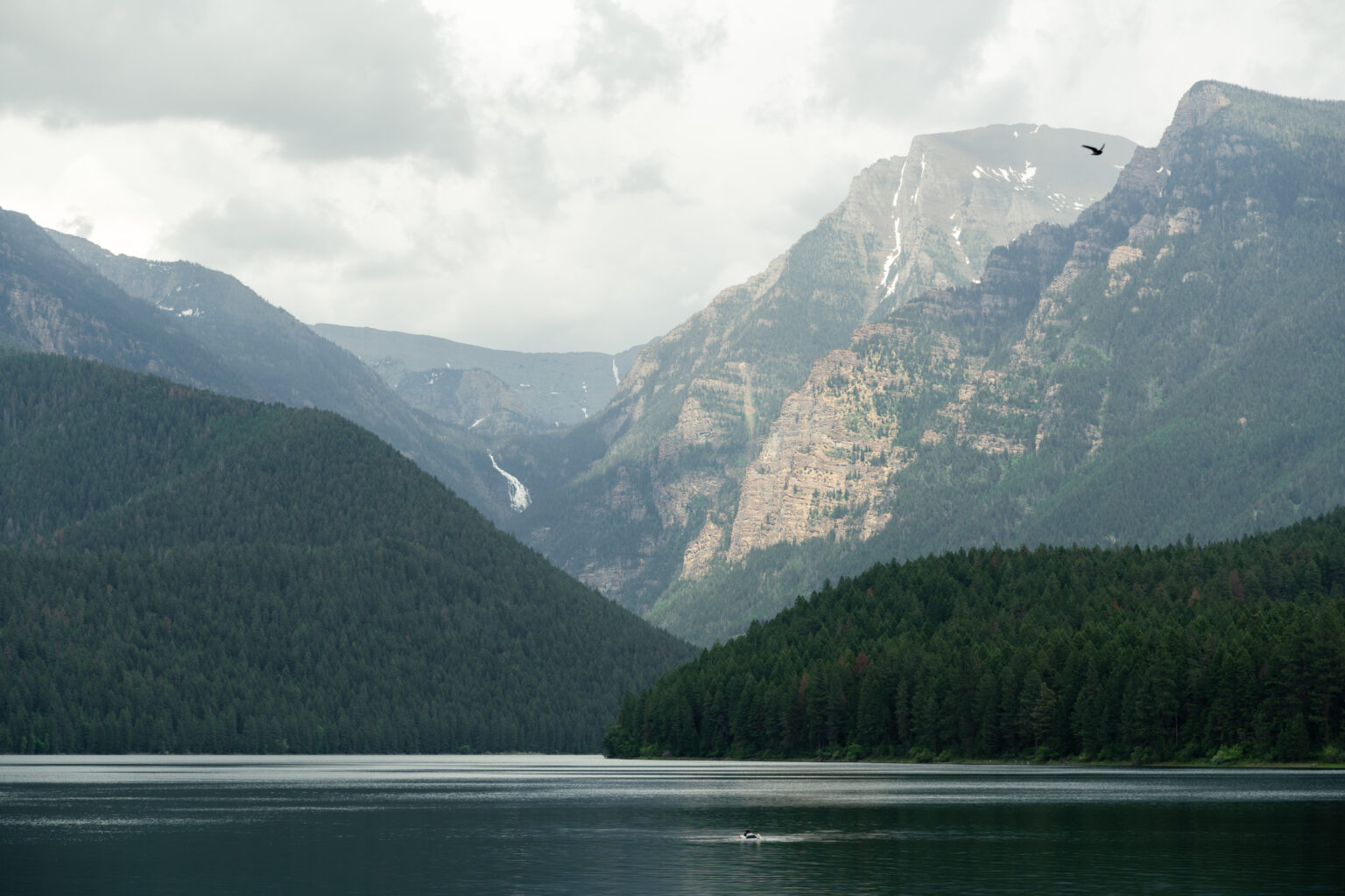 Tribal Fish & Game | Confederated Salish & Kootenai Tribes