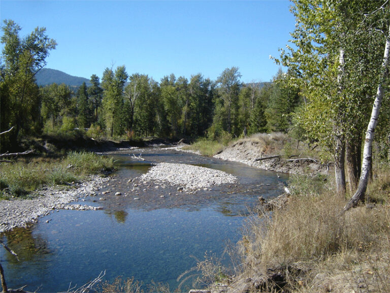 Jocko River Restoration | Confederated Salish & Kootenai Tribes
