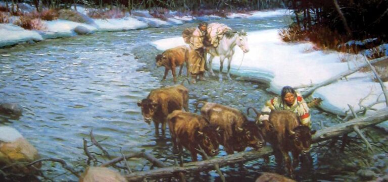 Bison Hunt | Confederated Salish & Kootenai Tribes