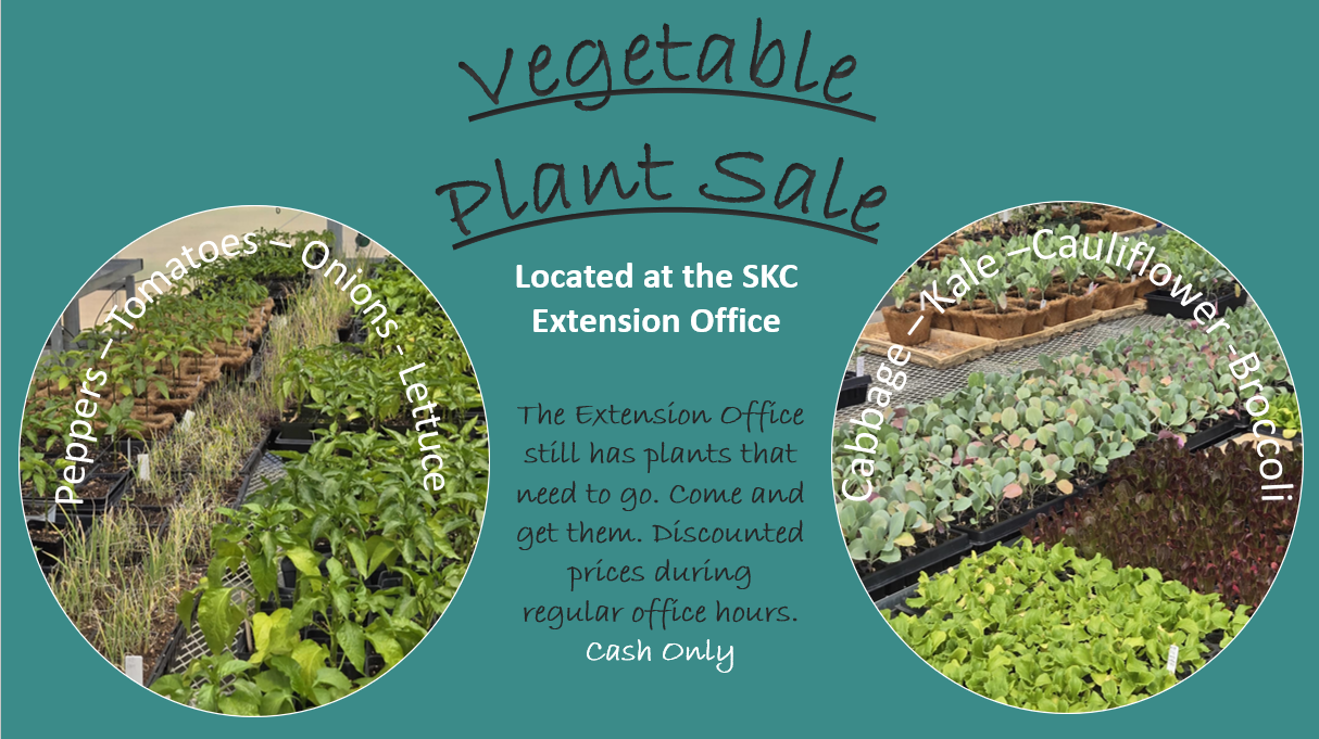 Vegetable Plant Sale - Confederated Salish & Kootenai Tribes